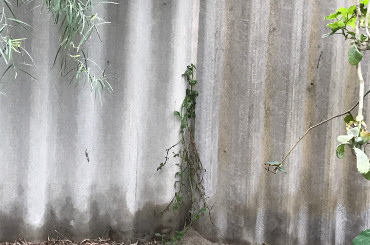 Hardifence Fencing Bunbury | Bunbury Fencing